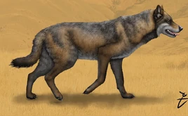 Aenocyon | Prehistoric Wiki | Fandom
