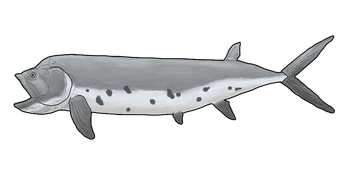 Ichthyodectes | Prehistoric Wiki | Fandom