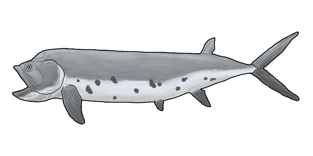 Ichthyodectes | Prehistoric Wiki | Fandom