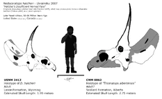 Triceratops | Prehistoric Wiki | Fandom