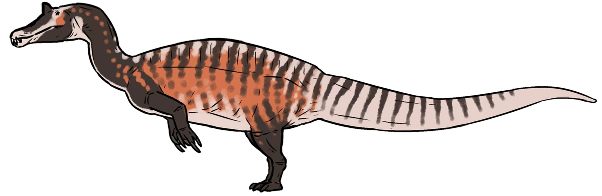 Irritator | Prehistoric Wiki | Fandom