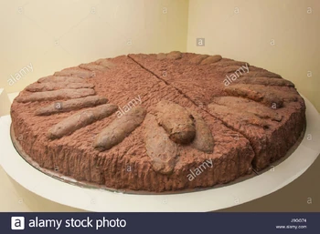 Longiteresoolithus | Prehistoric Wiki | Fandom