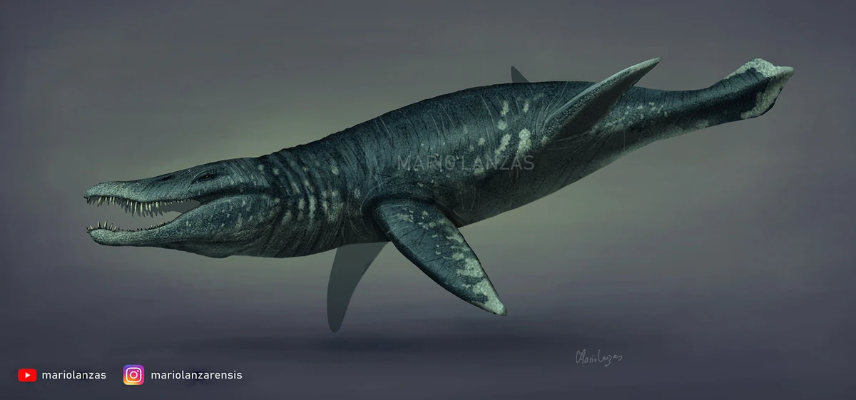 Pliosaurus | Prehistoric Wiki | Fandom