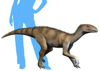 Sacisaurus | Prehistoric Wiki | Fandom