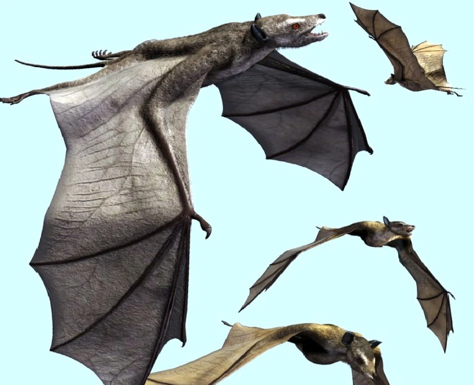 Icaronycteris | Prehistoric Wiki | Fandom