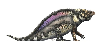Lotosaurus | Prehistoric Wiki | Fandom