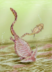 Diplocaulus | Prehistoric Wiki | Fandom