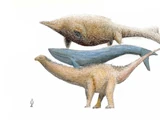 Category:Amphibians | Prehistoric Wiki | Fandom