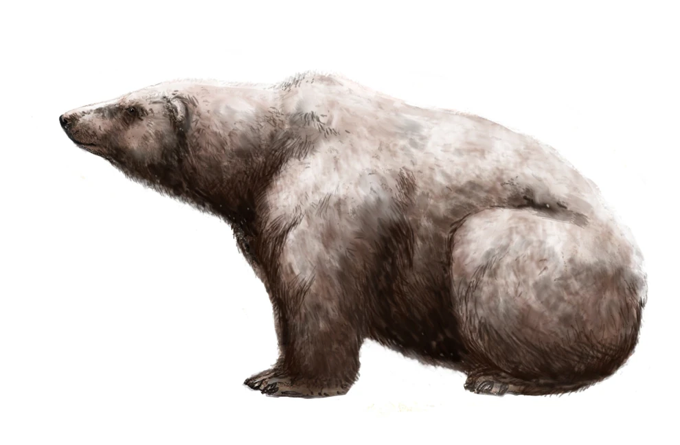 Ursus maritimus tyrannus | Prehistoric Wiki | Fandom