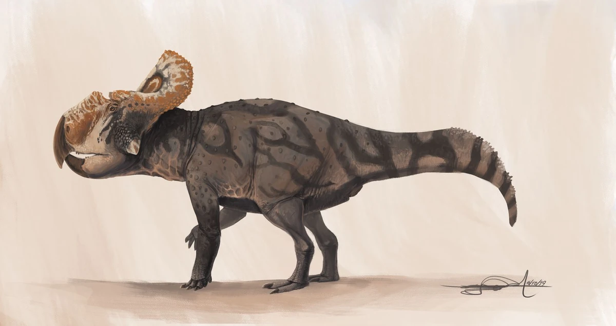 Protoceratops | Prehistoric Wiki | Fandom