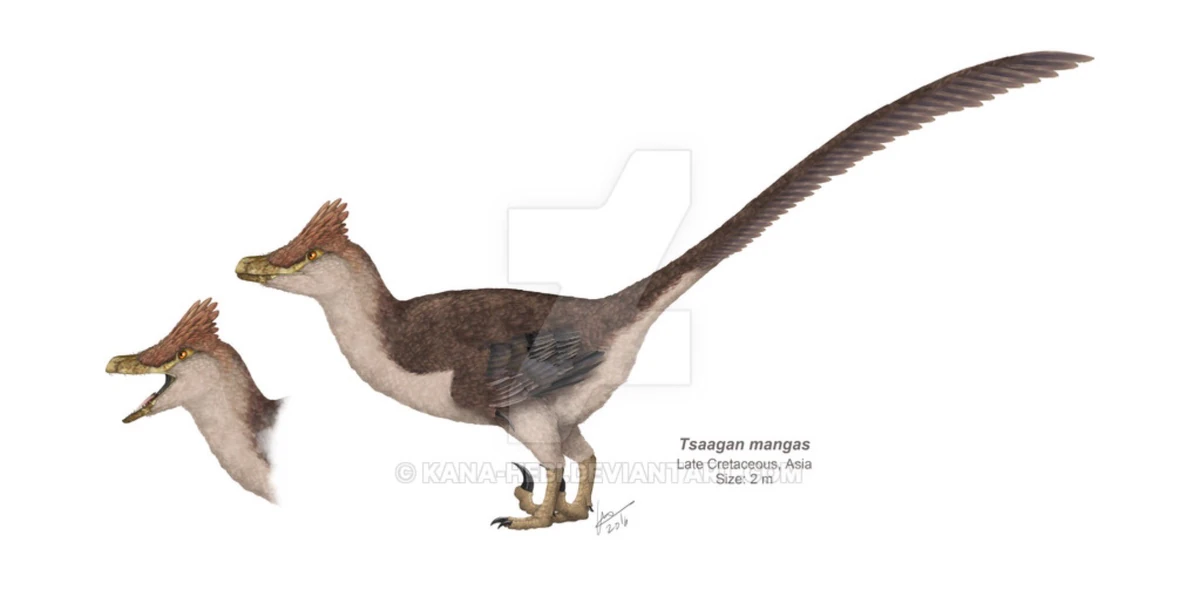 Tsaagan | Prehistoric Wiki | Fandom