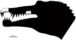 Oxalaia | Prehistoric Wiki | Fandom