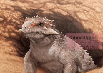 Procolophon | Prehistoric Wiki | Fandom