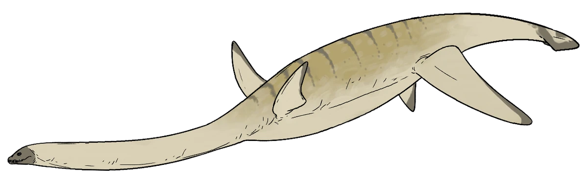 Kaiwekea | Prehistoric Wiki | Fandom