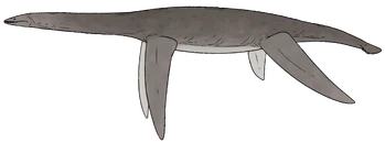 Aristonectes | Prehistoric Wiki | Fandom