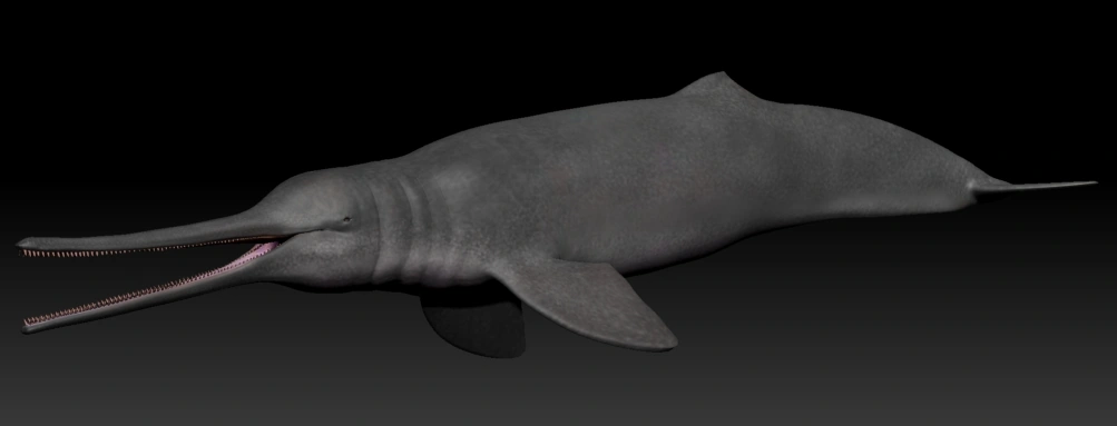 Category:River dolphins | Prehistoric Wiki | Fandom