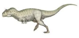 Indosaurus | Prehistoric Wiki | Fandom