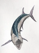Xiphactinus | Prehistoric Wiki | Fandom