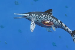 Ichthyosaurus | Prehistoric Wiki | Fandom