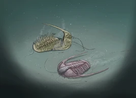 Botrioides | Prehistoric Wiki | Fandom