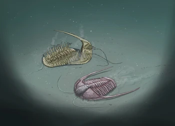 Botrioides | Prehistoric Wiki | Fandom