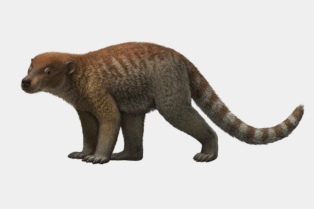 Category:Arctocyonids | Prehistoric Wiki | Fandom