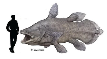Mawsonia | Prehistoric Wiki | Fandom