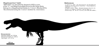 Jiangxi Megaraptoran | Prehistoric Wiki | Fandom
