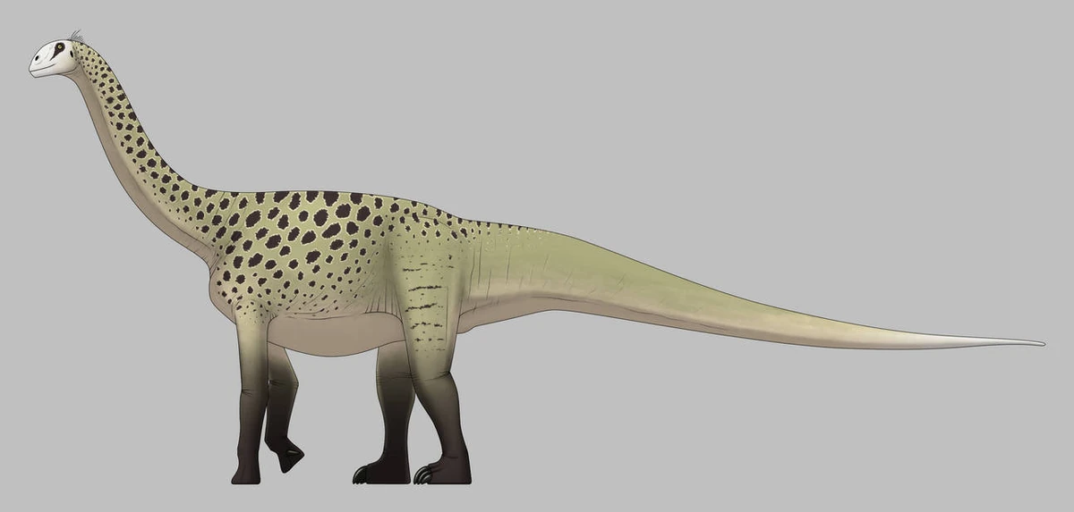 Category:Sauropods | Prehistoric Wiki | Fandom