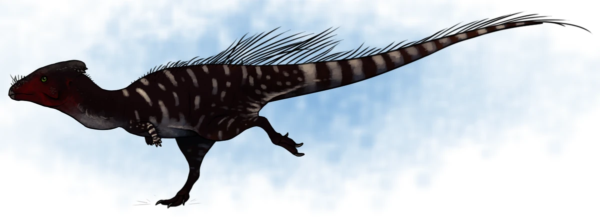 Homalocephale | Prehistoric Wiki | Fandom