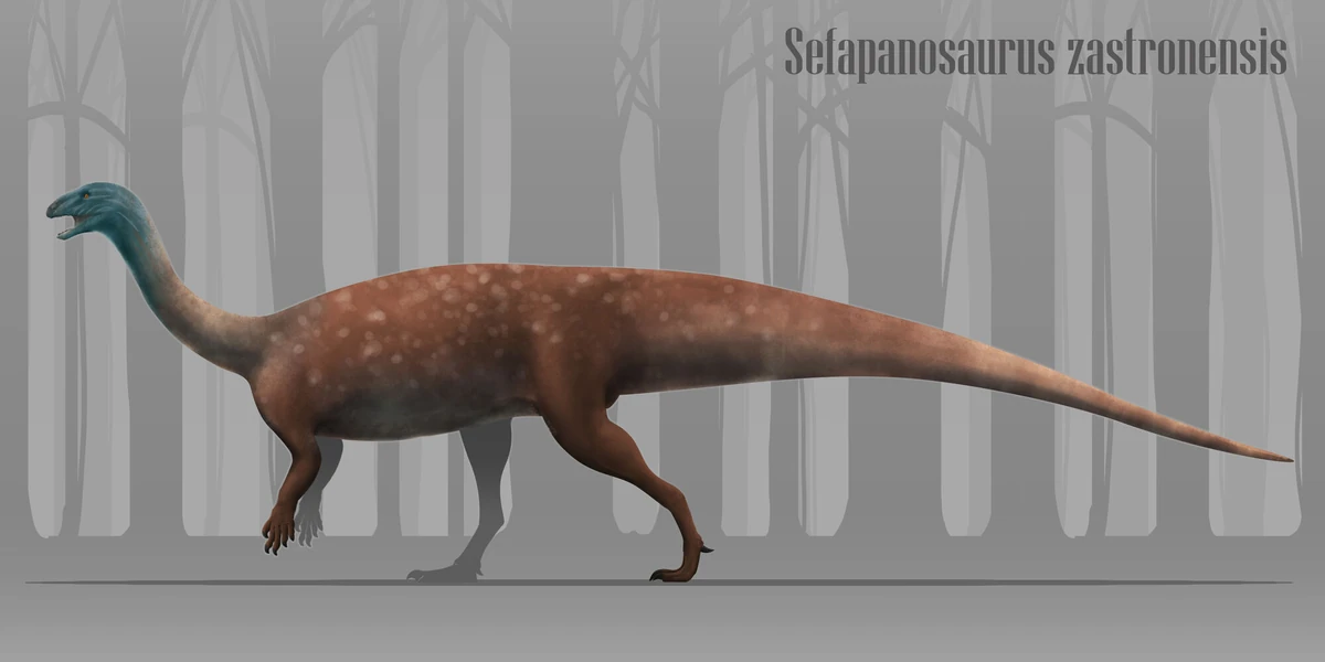 Sefapanosaurus | Prehistoric Wiki | Fandom