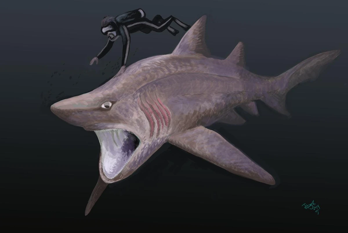 Pseudomegachasma | Prehistoric Wiki | Fandom