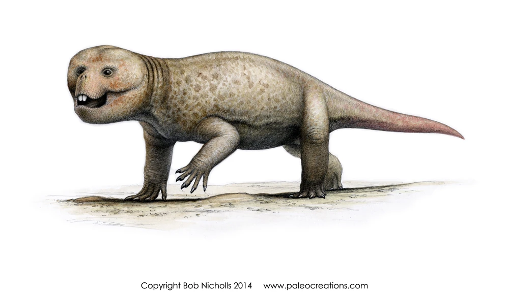 Rhynchosaurus | Prehistoric Wiki | Fandom