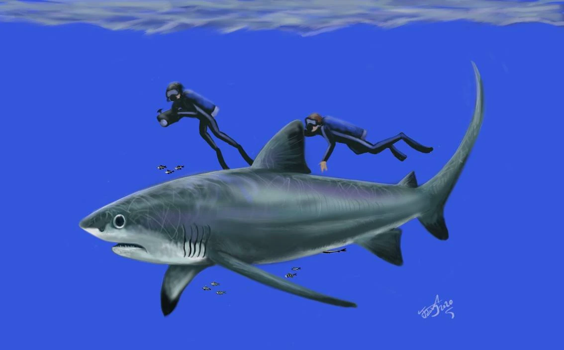 Alopias grandis | Prehistoric Wiki | Fandom
