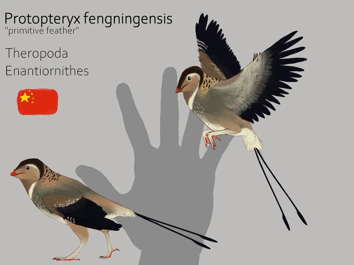 Protopteryx | Prehistoric Wiki | Fandom