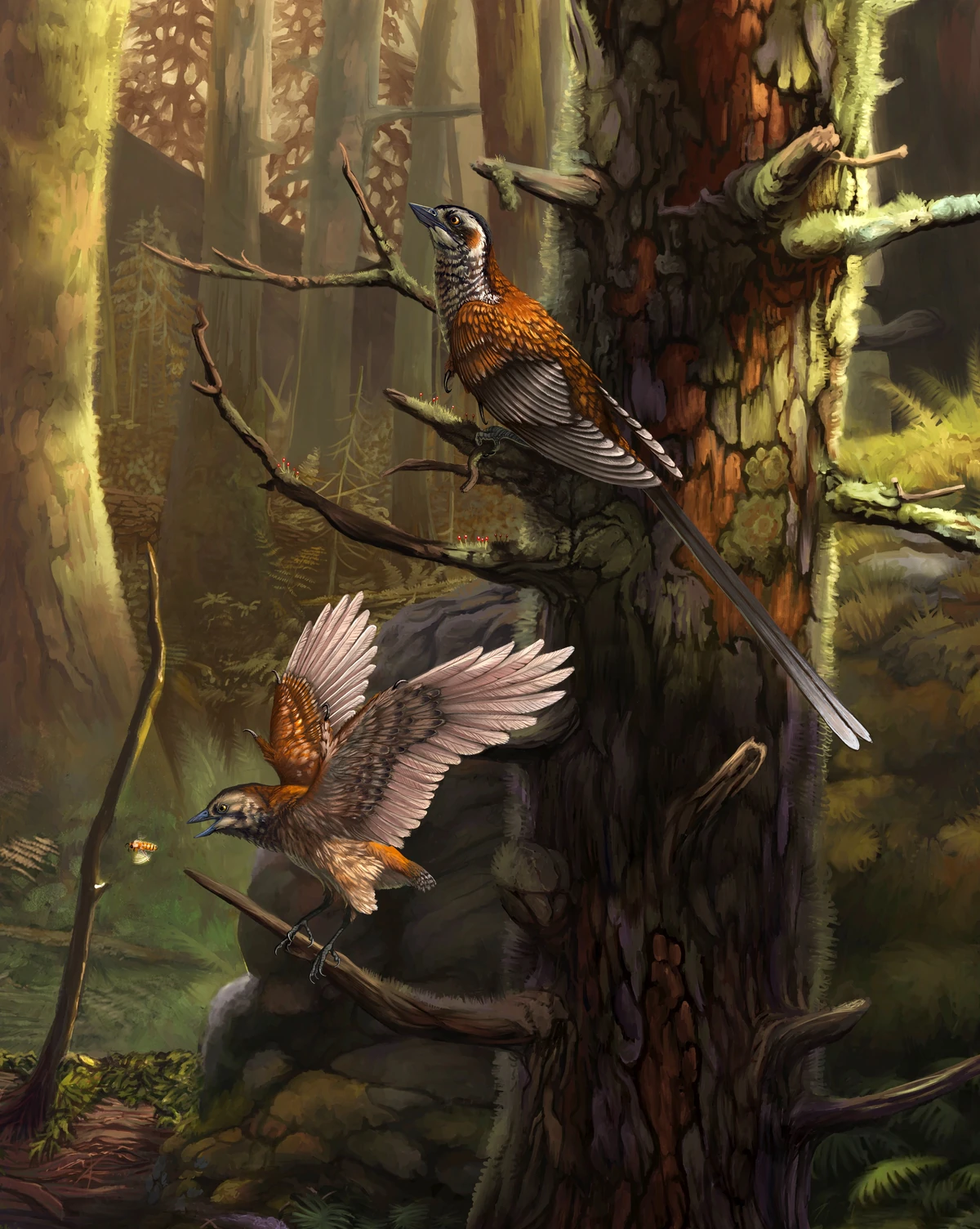 Confuciusornis | Prehistoric Wiki | Fandom