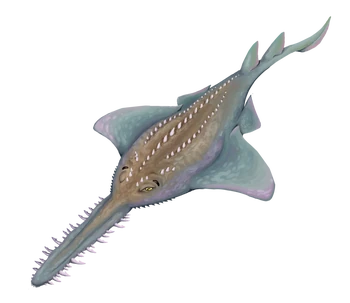 Onchopristis | Prehistoric Wiki | Fandom