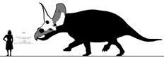 Triceratops | Prehistoric Wiki | Fandom