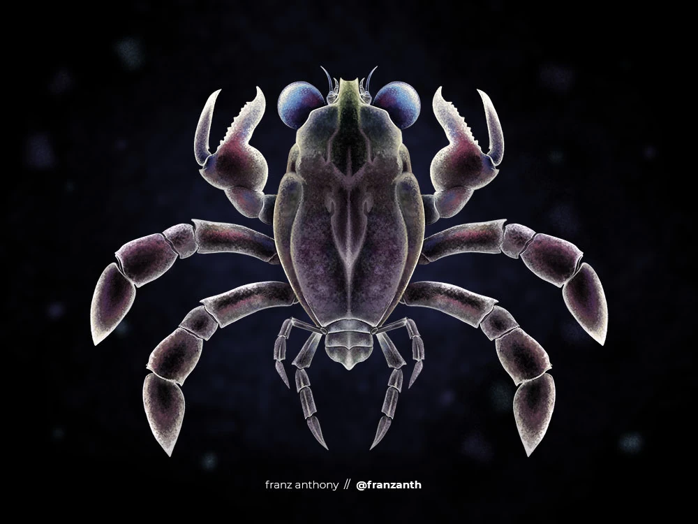 Callichimaera | Prehistoric Wiki | Fandom