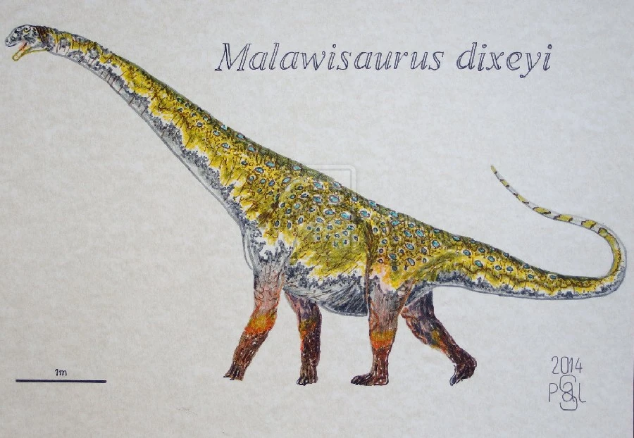 Malawisaurus | Prehistoric Wiki | Fandom