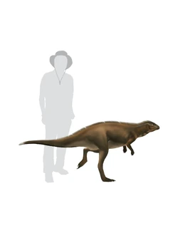 Anomoepus | Prehistoric Wiki | Fandom