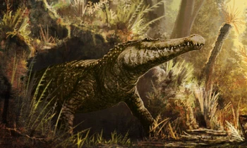 Goniopholis | Prehistoric Wiki | Fandom