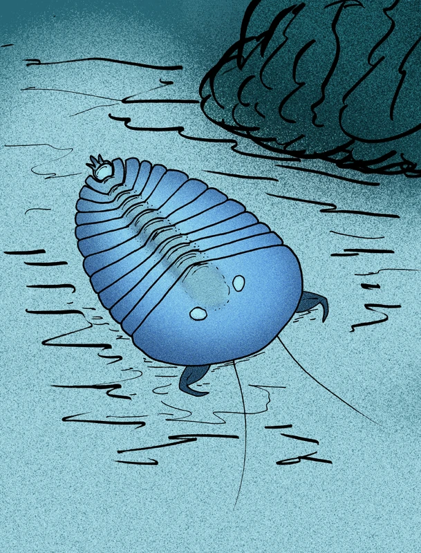 Category:Cheloniellids | Prehistoric Wiki | Fandom