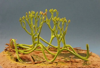 Aglaophyton | Prehistoric Wiki | Fandom