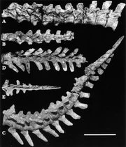 Nomingia | Prehistoric Wiki | Fandom