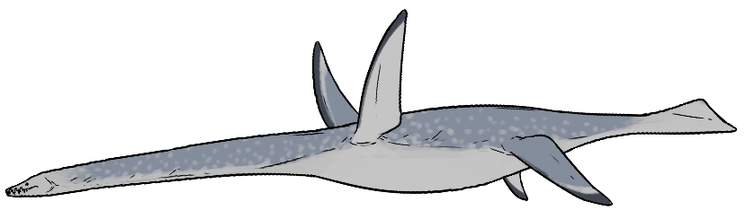 Seeleyosaurus | Prehistoric Wiki | Fandom