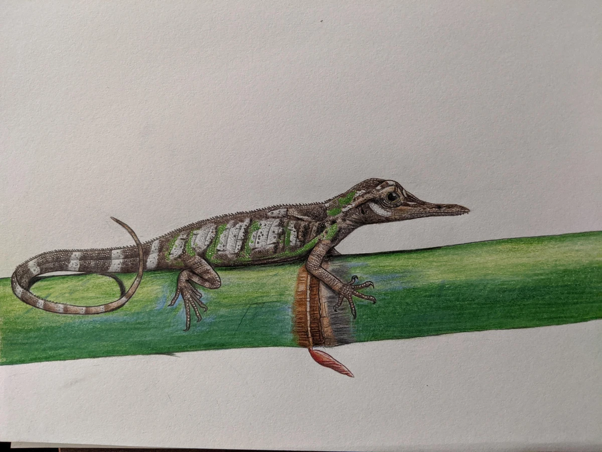 Category:Squamates | Prehistoric Wiki | Fandom