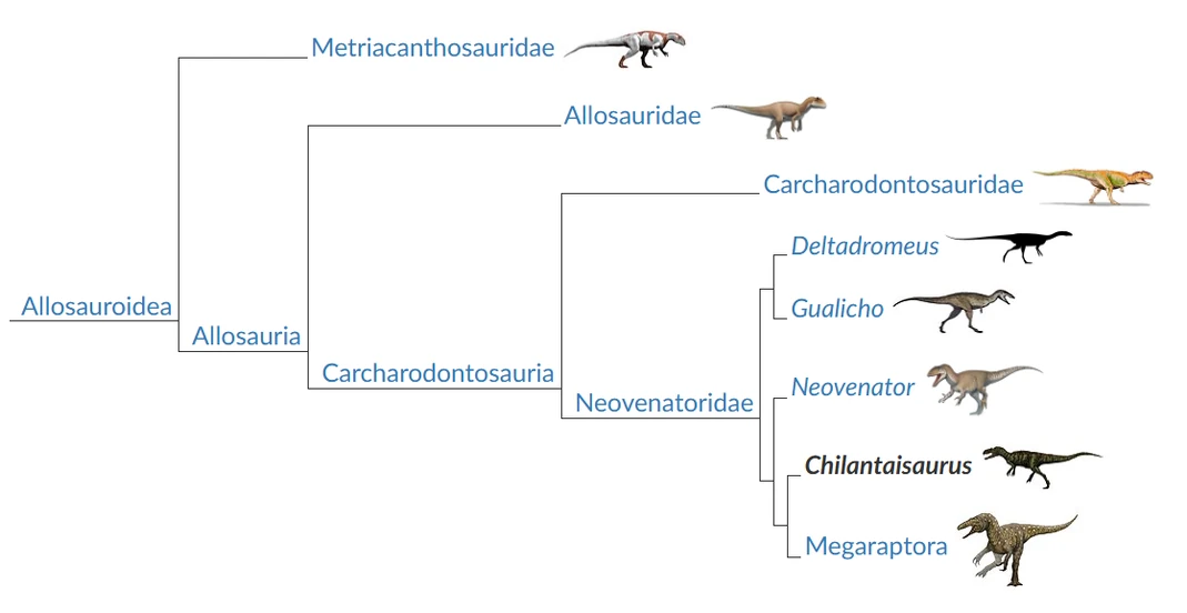 Chilantaisaurus | Prehistoric Wiki | Fandom