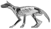 Cynotherium | Prehistoric Wiki | Fandom