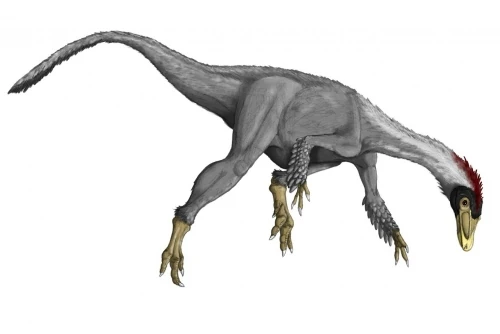 Grusimimus | Prehistoric Wiki | Fandom